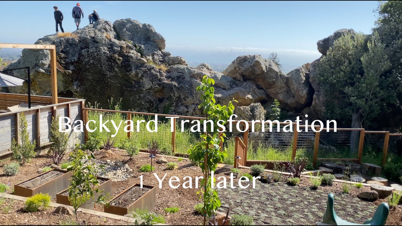Transforming a Neglected Backyard: Hillside Makeover - YouTube