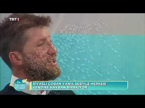 MUHTEŞEM BİR TÜRKÜ ( GEL KOYUN MELEME VAZGEÇ KUZUNDAN ) TARIK KARA  _ TRT 1 bu toprağın sesi program