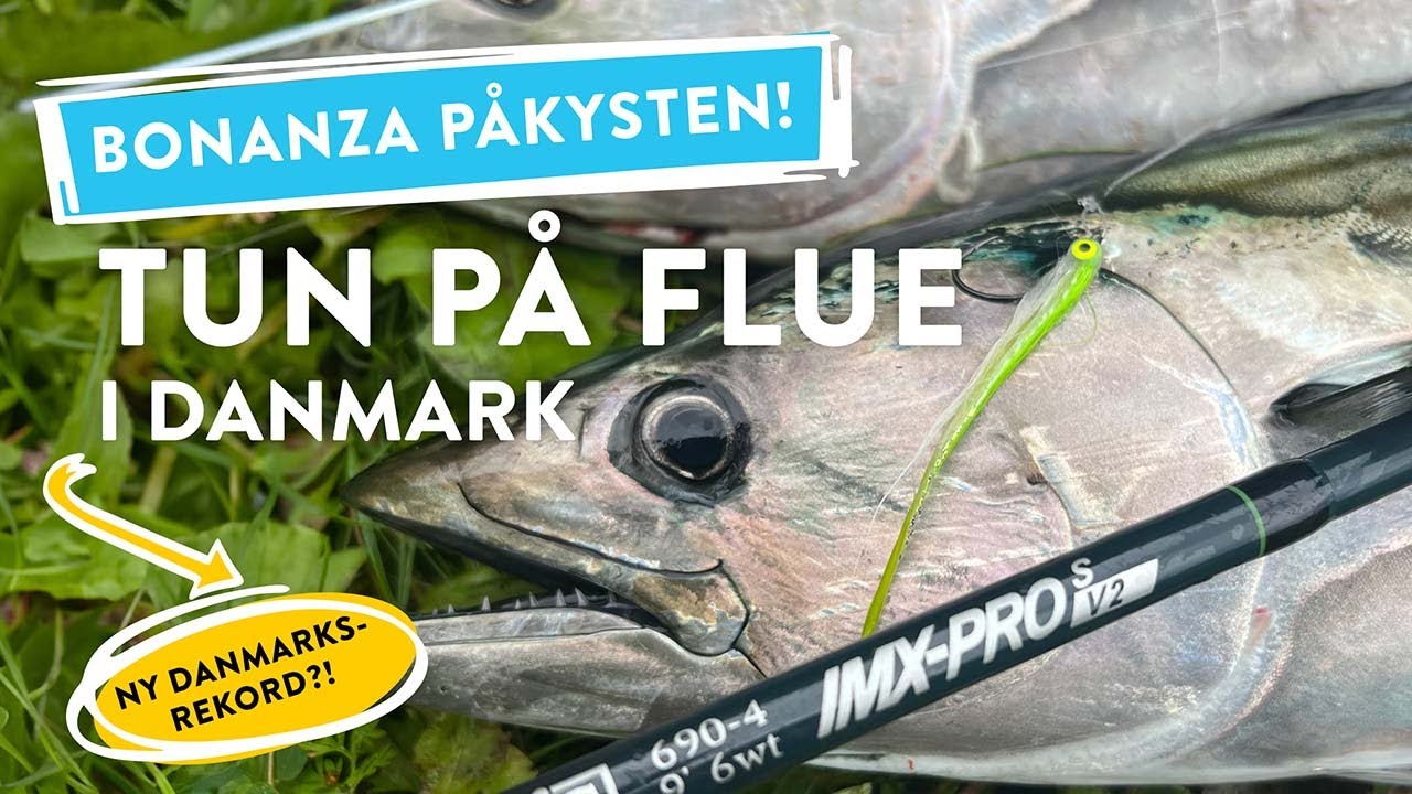 Først tun på flue, fra land, i DANMARK... - YouTube