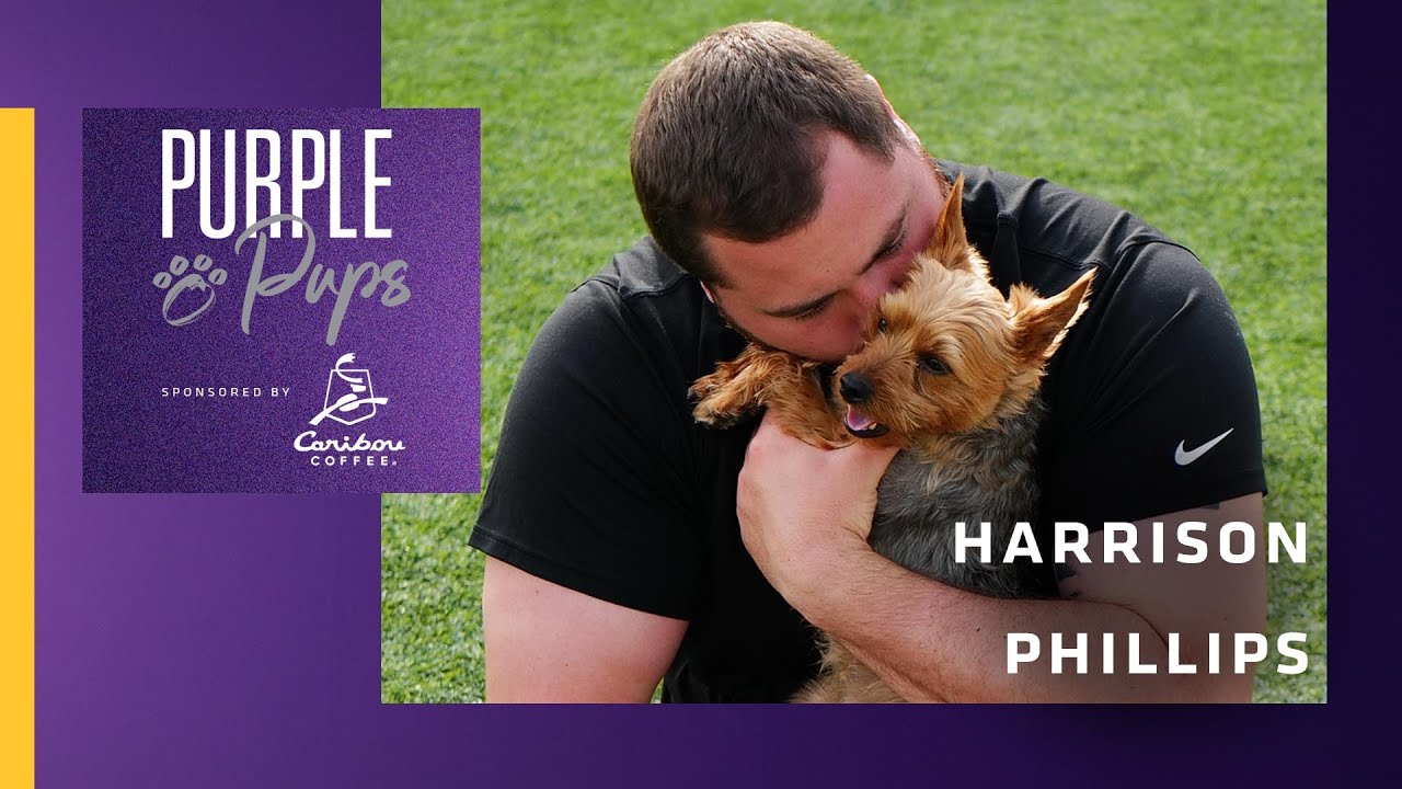Purple Pups featuring Harrison Phillips & Marty | Minnesota Vikings ...
