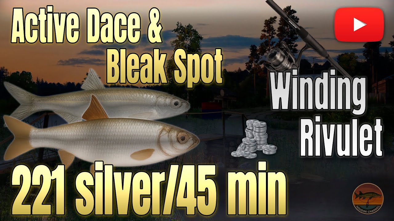 🗺️ Best Float Setup for Small Fish | RF4 Winding Rivulet Guide 🐟💸 - YouTube