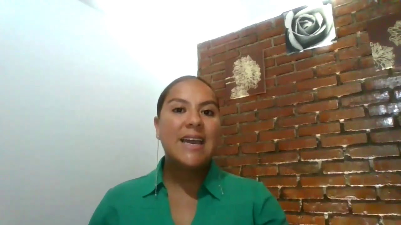 INGRID NARANJO (COSTA RICA) SEMINARIO INTERNACIONAL LOS MARC Y LA ...
