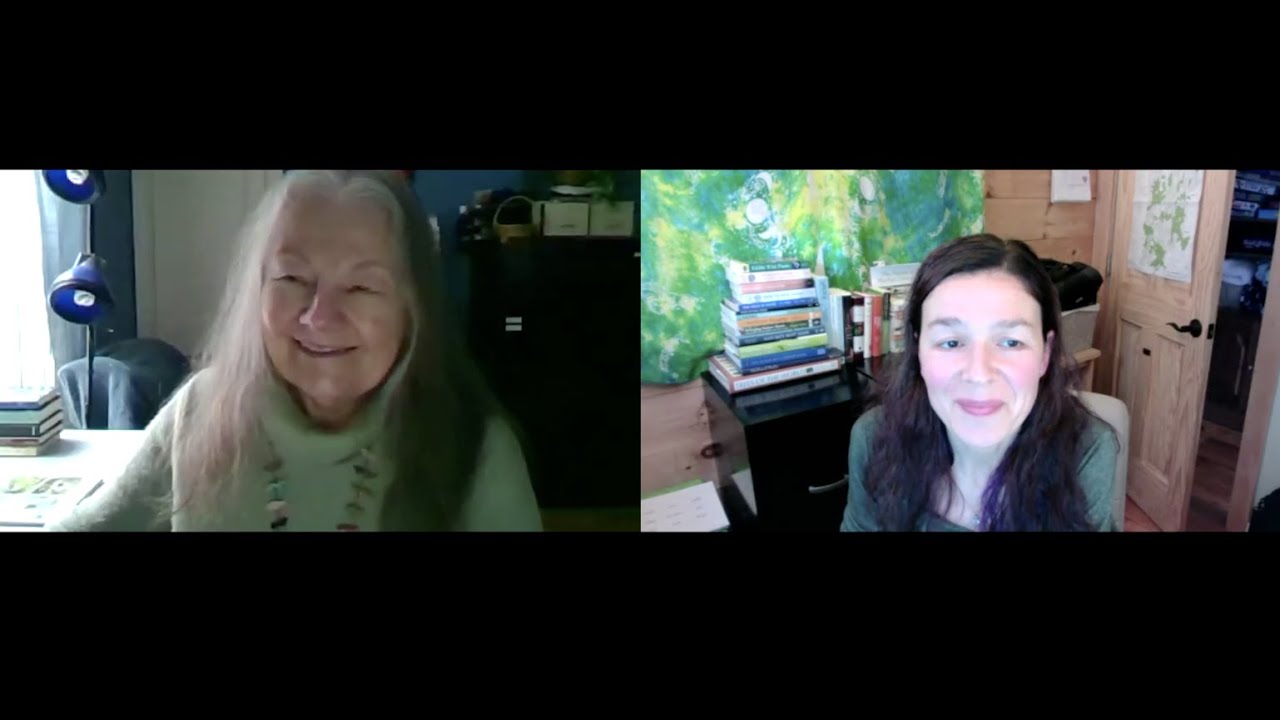 Our Hidden Landscapes with Dr. Lucianne Lavin - YouTube