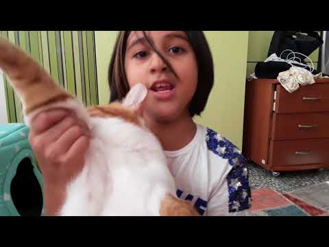 Olis osurdu. 1.40da osurcak hahahahaha. Sesi dinleyin