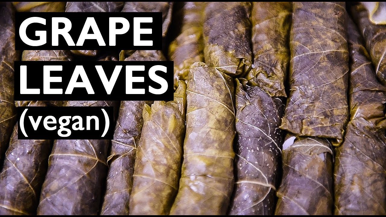 HOW TO MAKE GRAPE LEAVES VEGAN LEBANESE INSPIRED RECIPE YouTube HOW TO MAKE GRAPE LEAVES VEGAN LEBANESE INSPIRED RECIPE YouTube