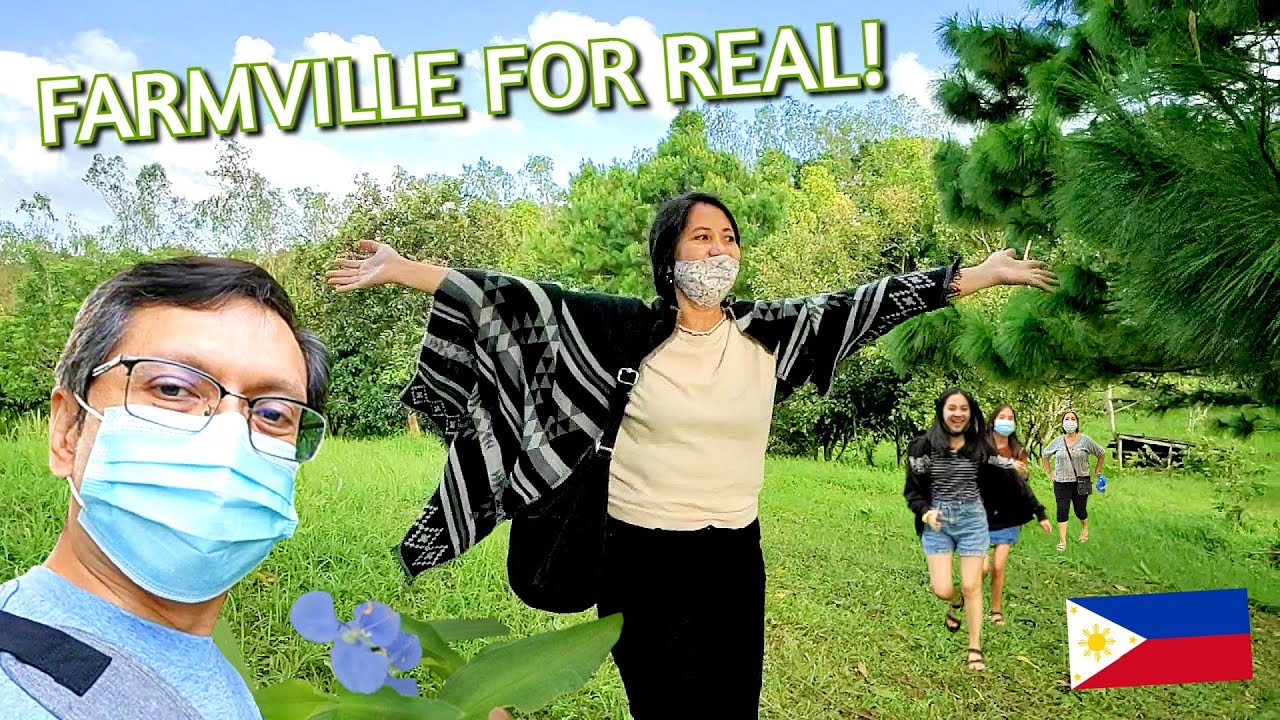 ORCHARD FARM LIFE IN THE MOUNTAINS OF TANAY RIZAL PHILIPPINES - YouTube