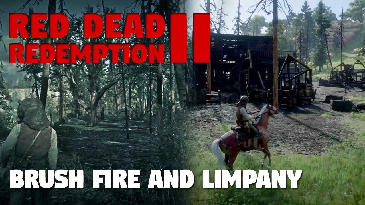 BRUSH FIRE AND LIMPANY GOLD BAR Red Dead Redemption 2 Gameplay [PS4 Pro ...