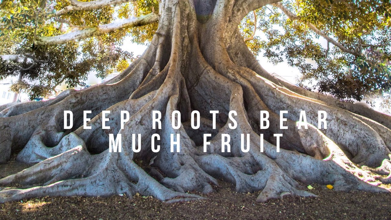 Deep Roots Bear Good Fruit | Godly Affections - YouTube