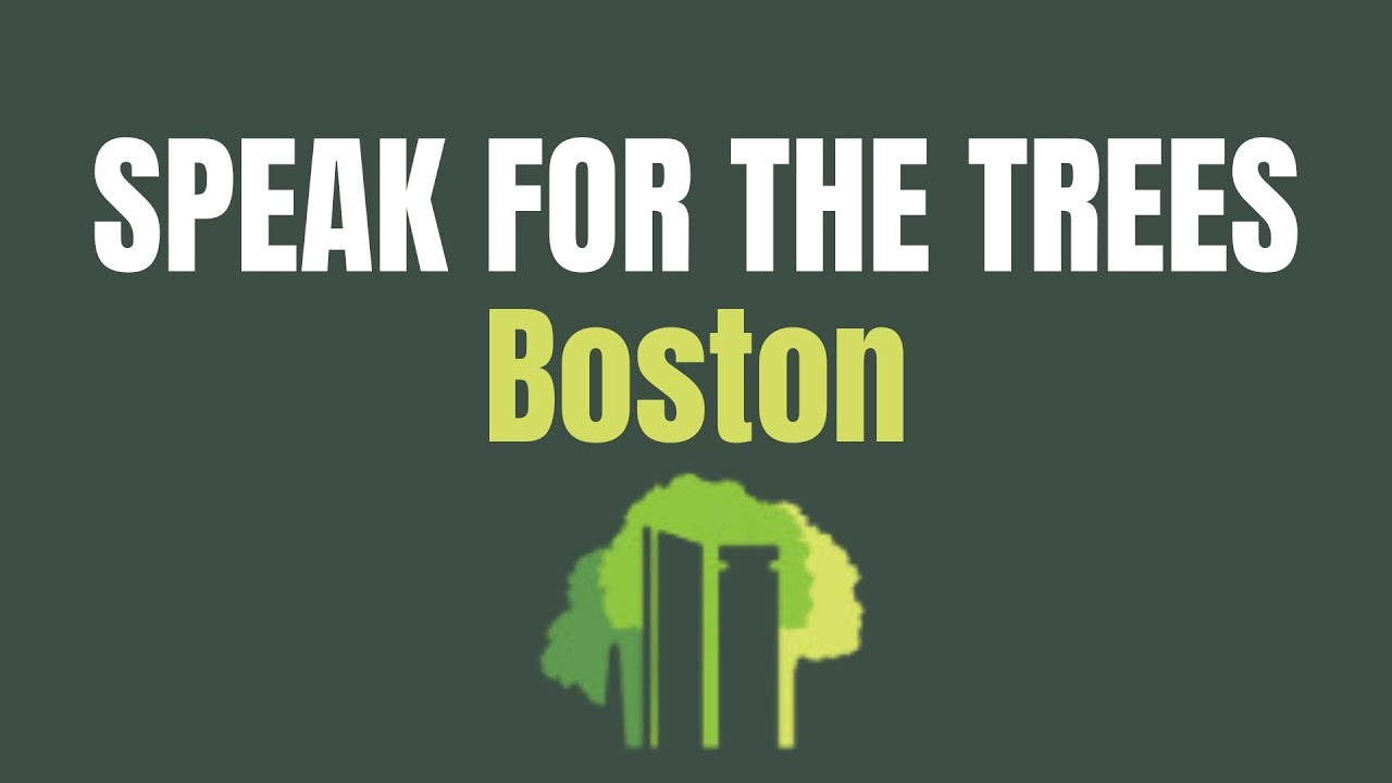 Speak for the Trees Boston - YouTube
