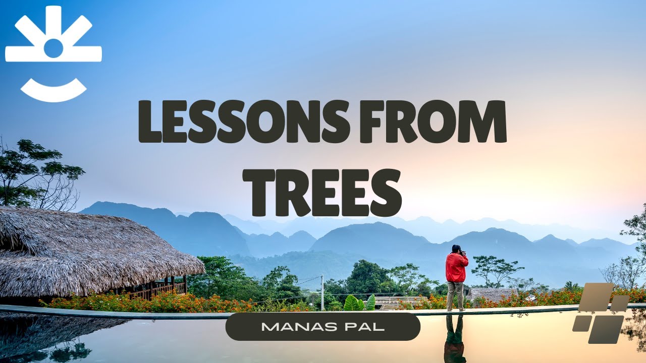 Lessons from Trees - YouTube