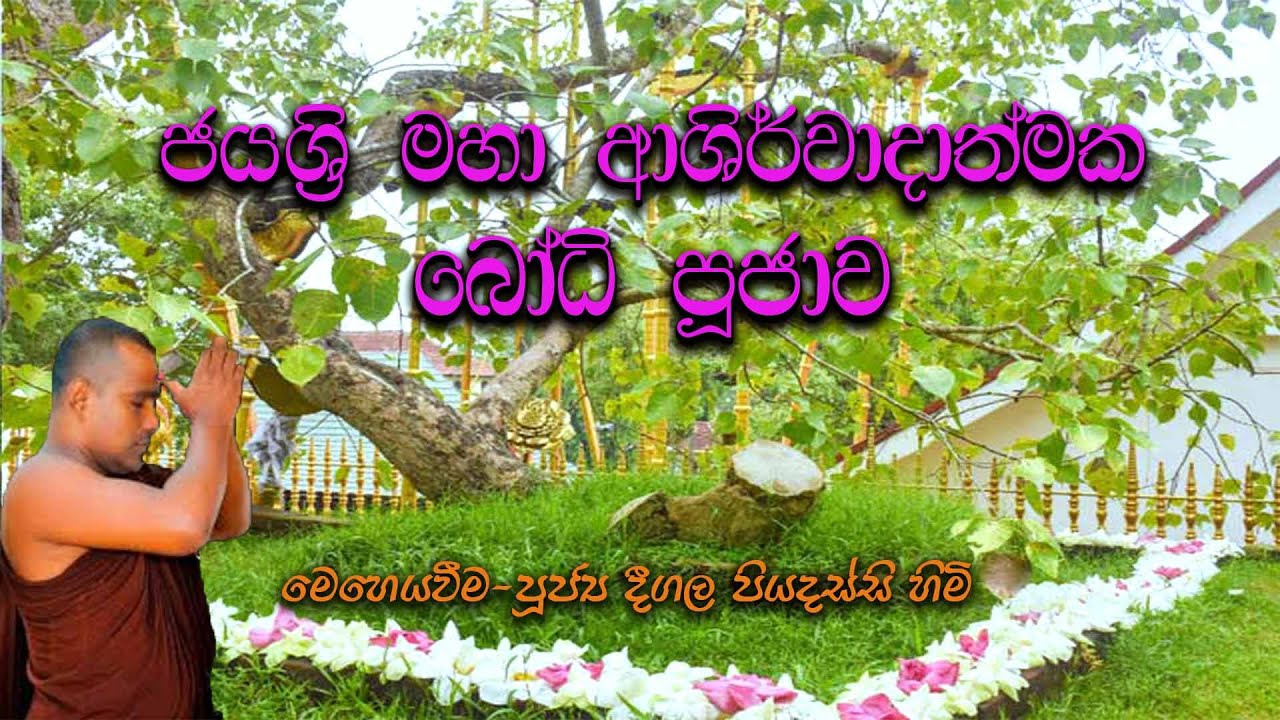 ජයශ්‍රි මහා ආශිර්වාදාත්මක බෝධි පූජාව l Bodhi puja gatha sinhala I Seth ...