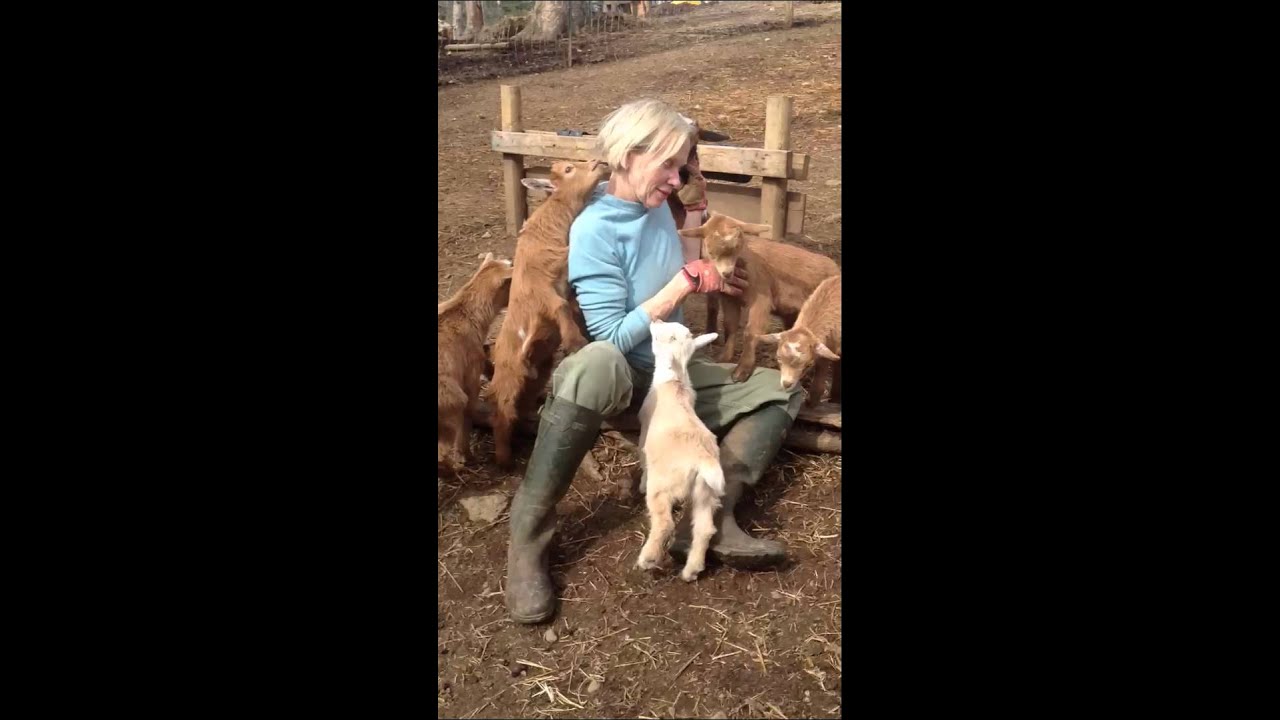 Crazy goat lady - YouTube