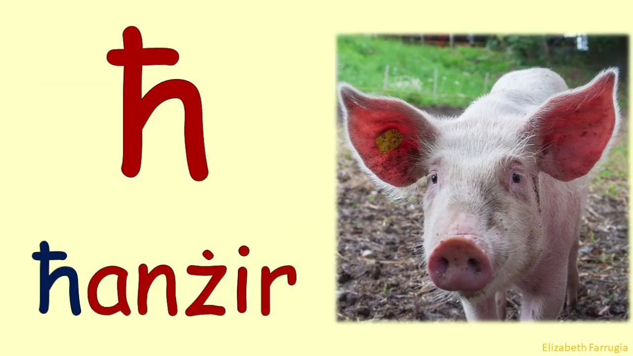 L-Ittra ħ - YouTube