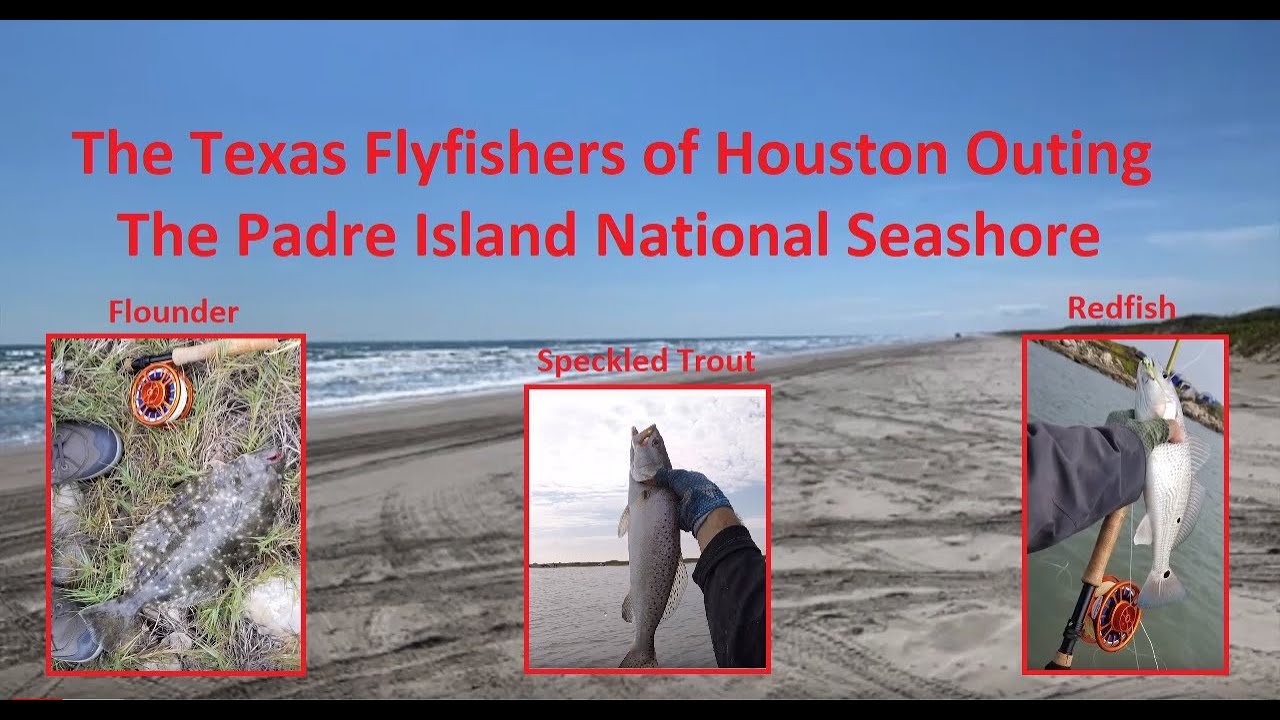 Texas Fly Fishers of Houston Outing - Padre Island National Seashore ...