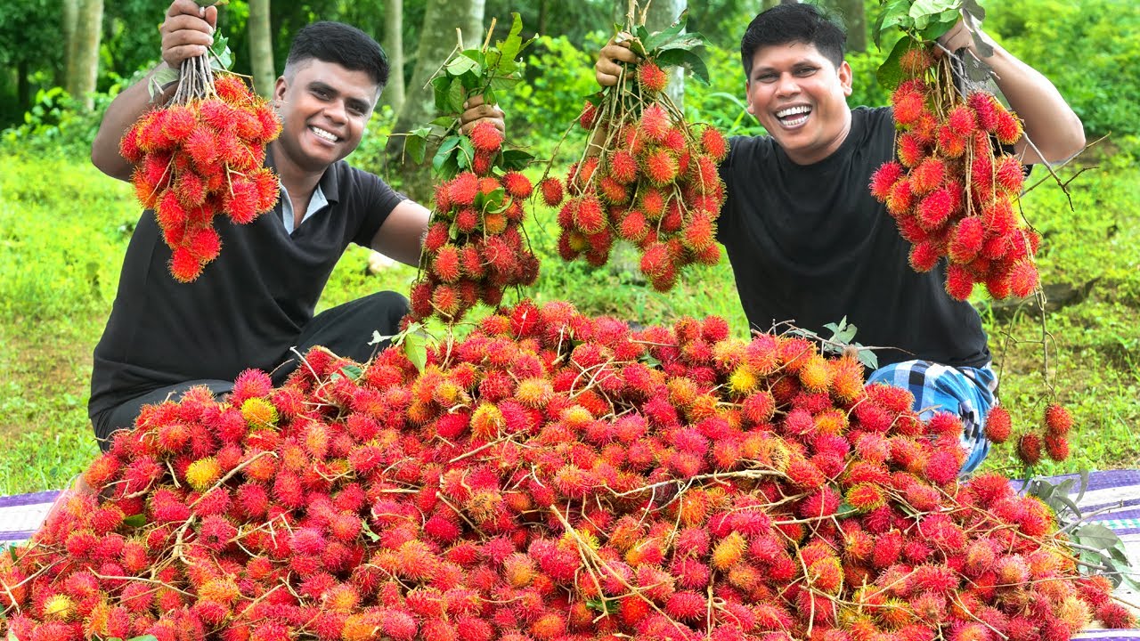 100kg RAMBUTAN | Yummy Rambutan Pickle | Fruit Pickle Recipe | Village ...