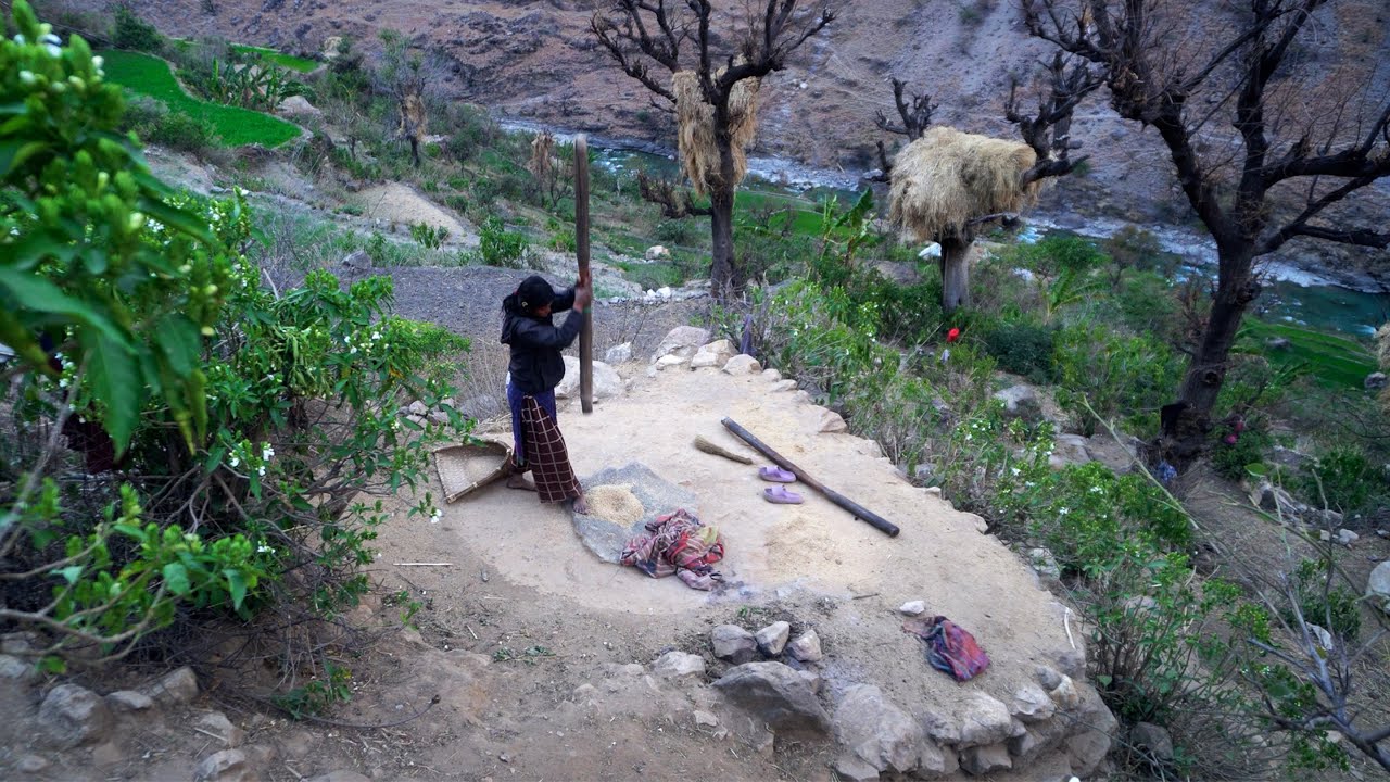 an old technique to grind paddy rice on the stone || primitive ...