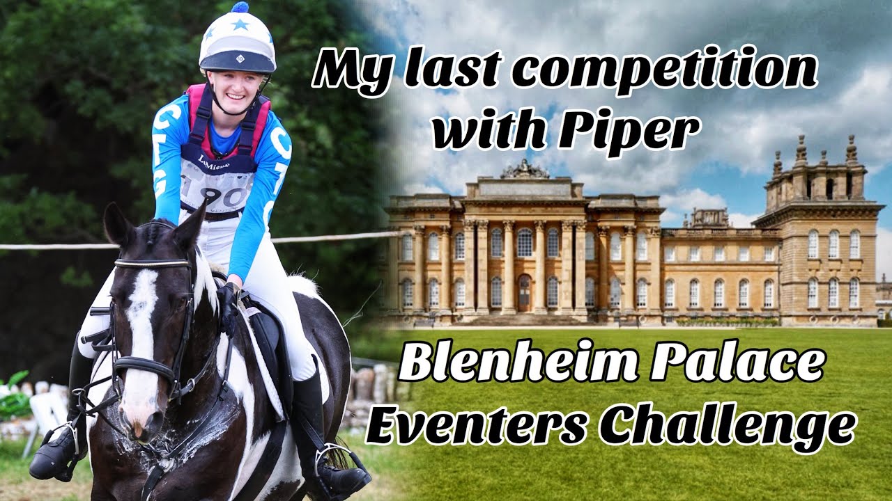 Blenheim Eventers Challenge - My Last Competition on Piper | Stuart ...