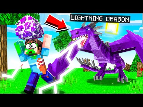 STEALING A *LIGHTNING* DRAGON EGG IN MINECRAFT!