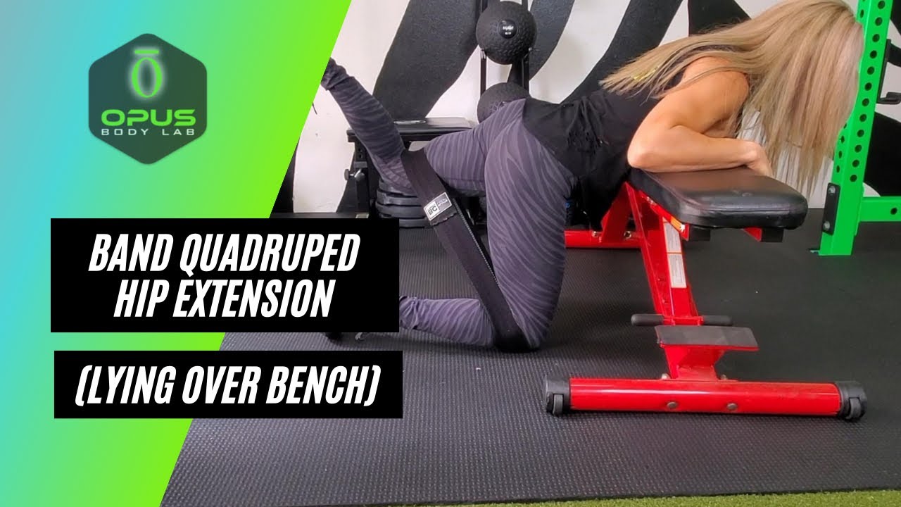Band Quadruped Hip Extension (Lying Over Bench) - YouTube