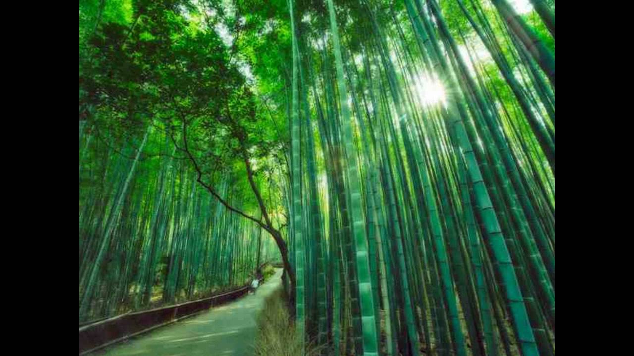 Japan by Plastician - YouTube
