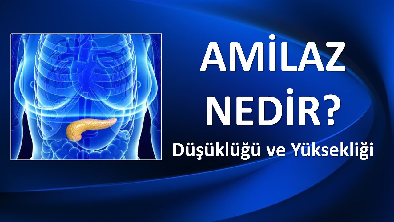 AMİLAZ NEDİR, AMİLAZ YÜKSEKLİĞİ VE DÜŞÜKLÜĞÜ NEDEN OLUR? - YouTube