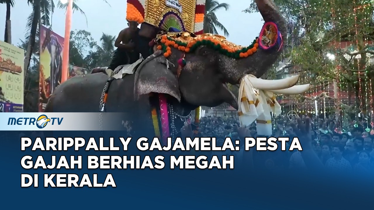 Parippally Gajamela: Pesta Gajah Berhias Megah di Kerala - YouTube