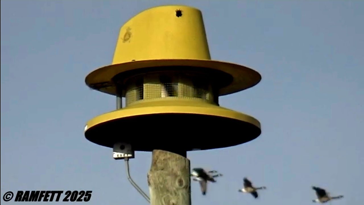 ACA Banshee 115 Tornado Siren Test, Sussex WI 11/13/2024 - YouTube