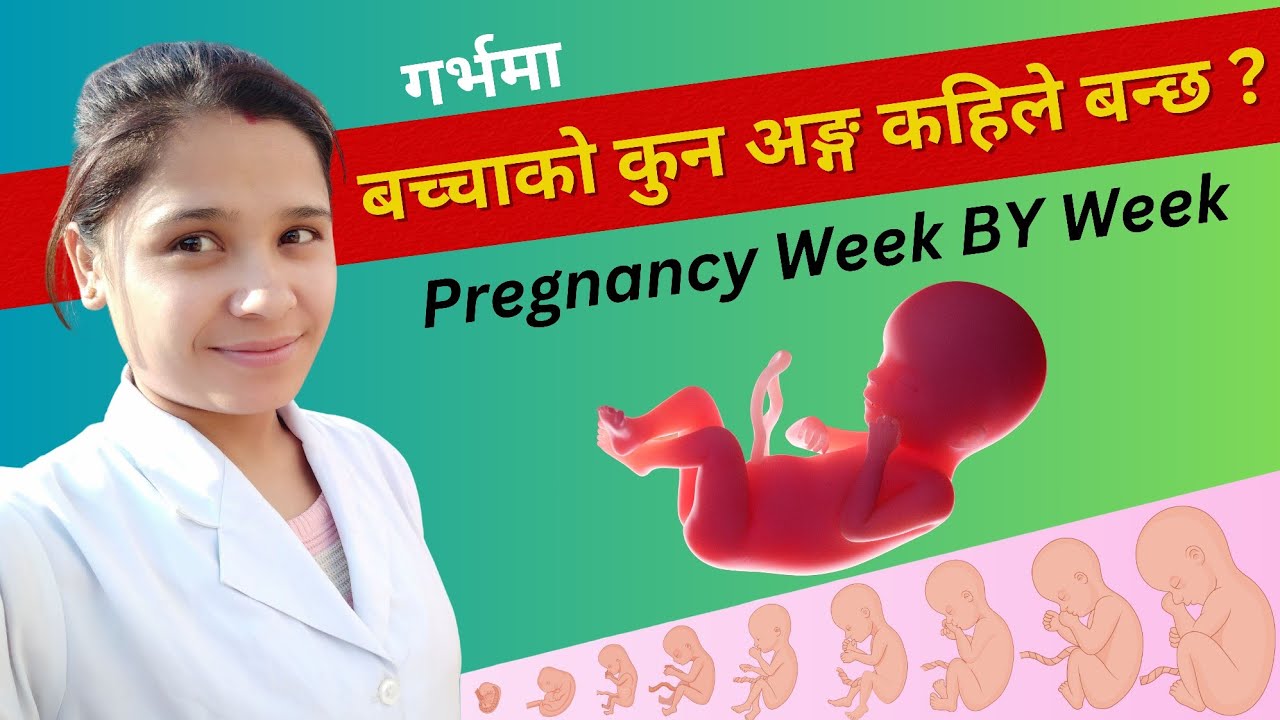 Garbhama baby ko vikas | Baby development in the womb | Nepal Sanjal ...