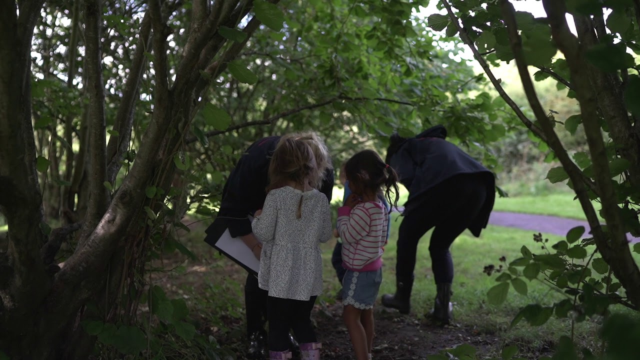 Going on a nature hunt on our nursery field. - YouTube