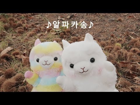 알파카송 뮤비 ★ 알파카월드 마스코트 \
