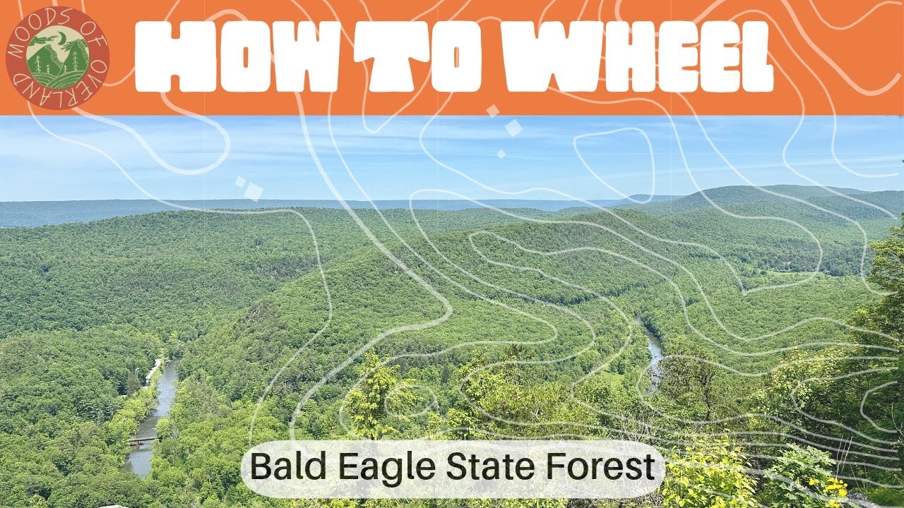 How To Wheel Bald Eagle State Forest: The Essential Overland Guide ...