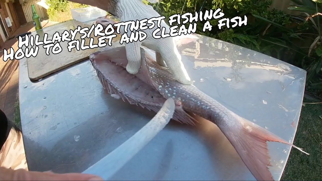 Hillary’s/Rottnest fishing How to fillet and clean a fish EP-7 - YouTube