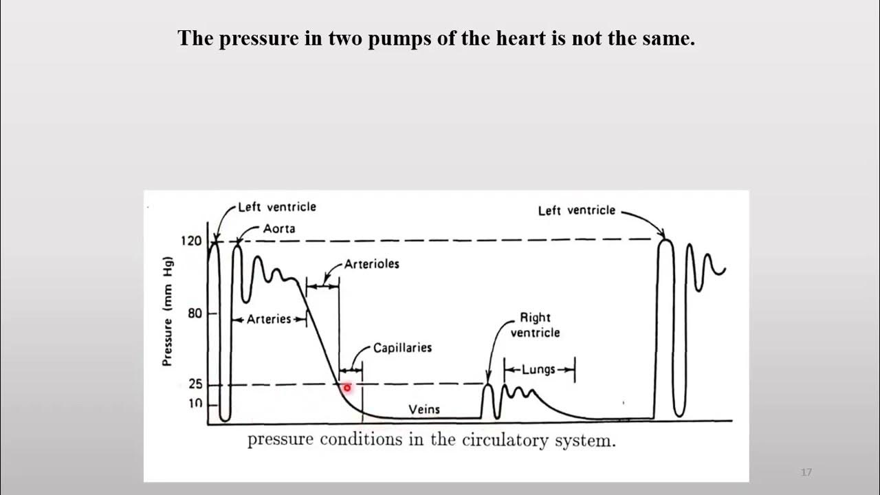 Lecture 4 part 3 - YouTube