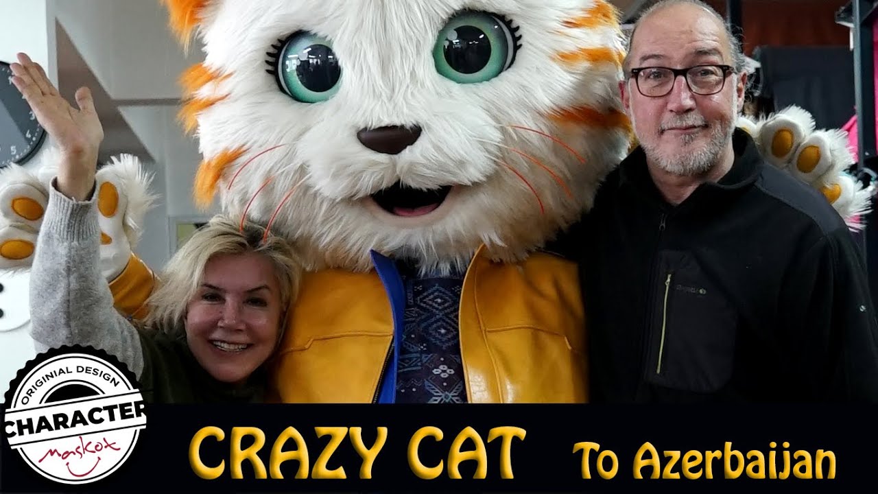 CRAZY CAT - YouTube
