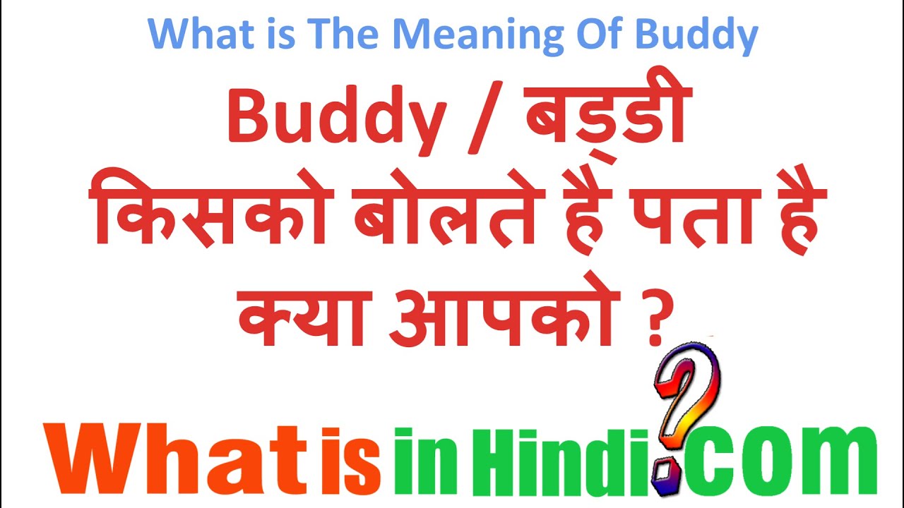 What is the meaning of Buddy in Hindi | Buddy ka matlab kya hota hai ...