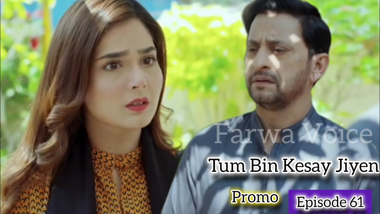 Tum Bin Kesay Jiyen Episode 61 _ Saniya Shamshad _ Hammad Shoaib ...