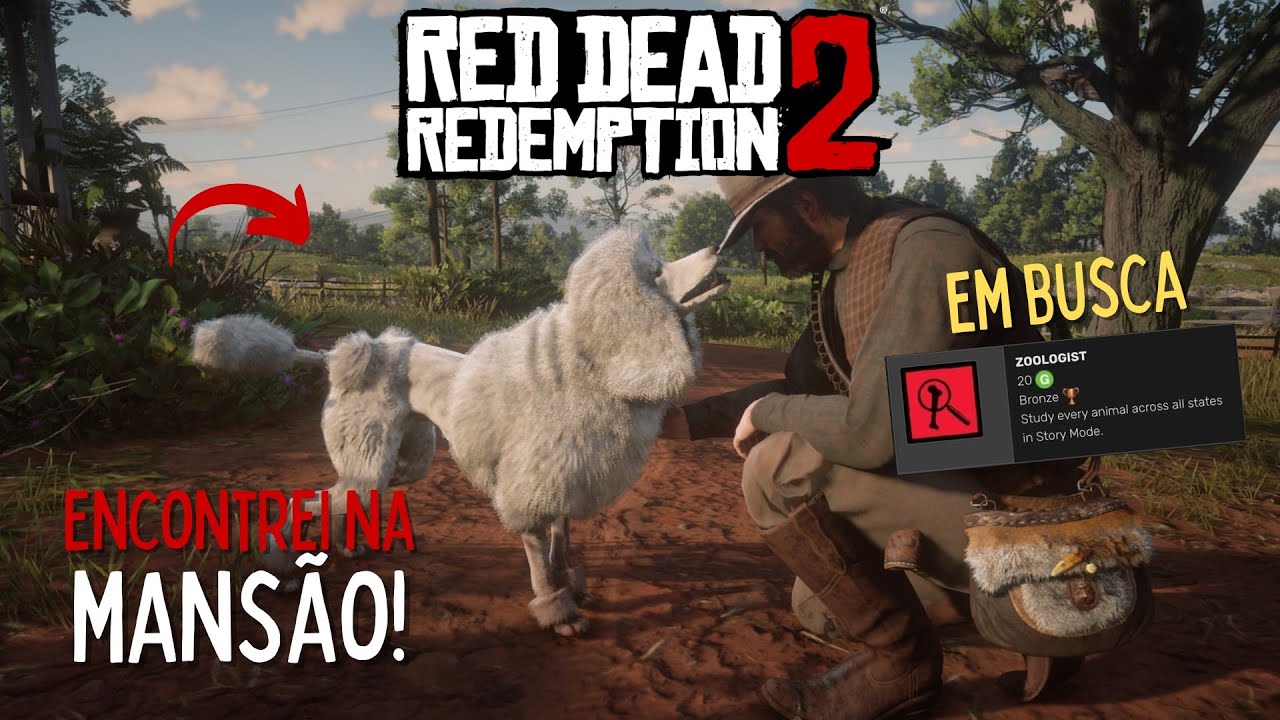 Encontre o POODLE (localização no mapa) - Red Dead Redemption 2 ...