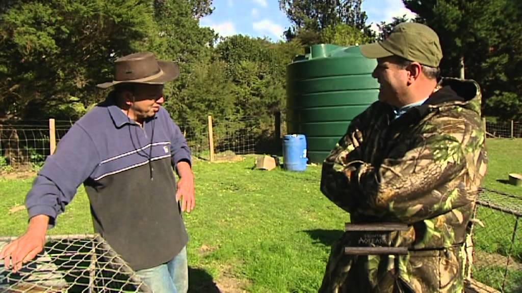 Hunting Aotearoa S1 Ep06 teaser.mov - YouTube