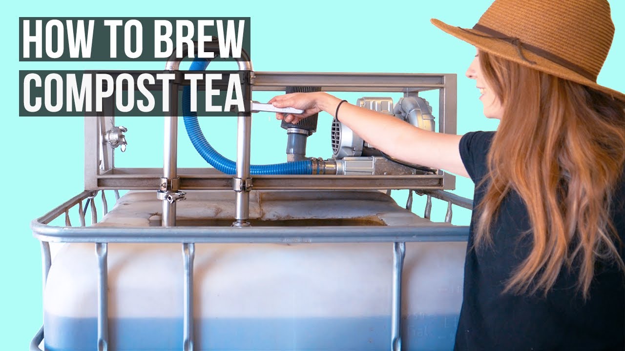 How to Make Compost Tea! [Brewing Process of Edaphic Solutions] - YouTube