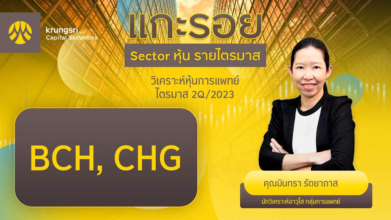 รายการแกะรอย Sector หุ้นรายไตรมาส EP.05/19 แกะรอยหุ้นการแพทย์ หุ้นแนะนำ : BCH, CHG - YouTube