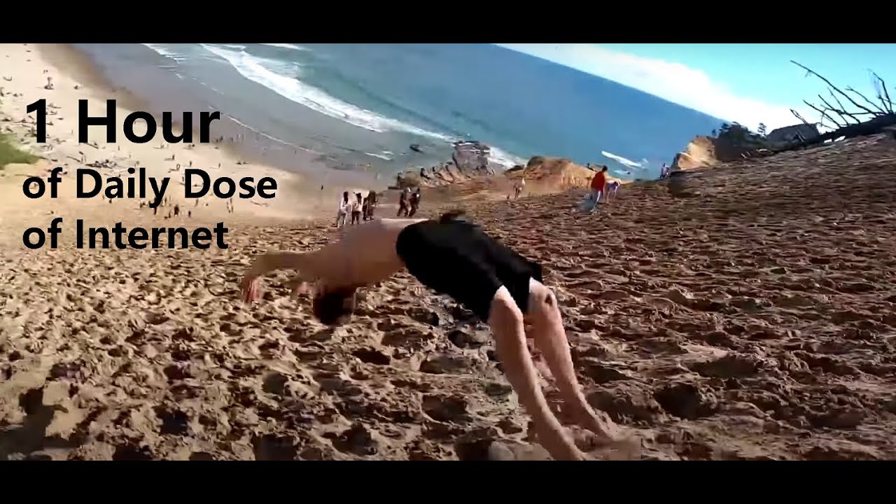 AMAZING 1 HOUR DAILY DOSE OF INTERNET - YouTube