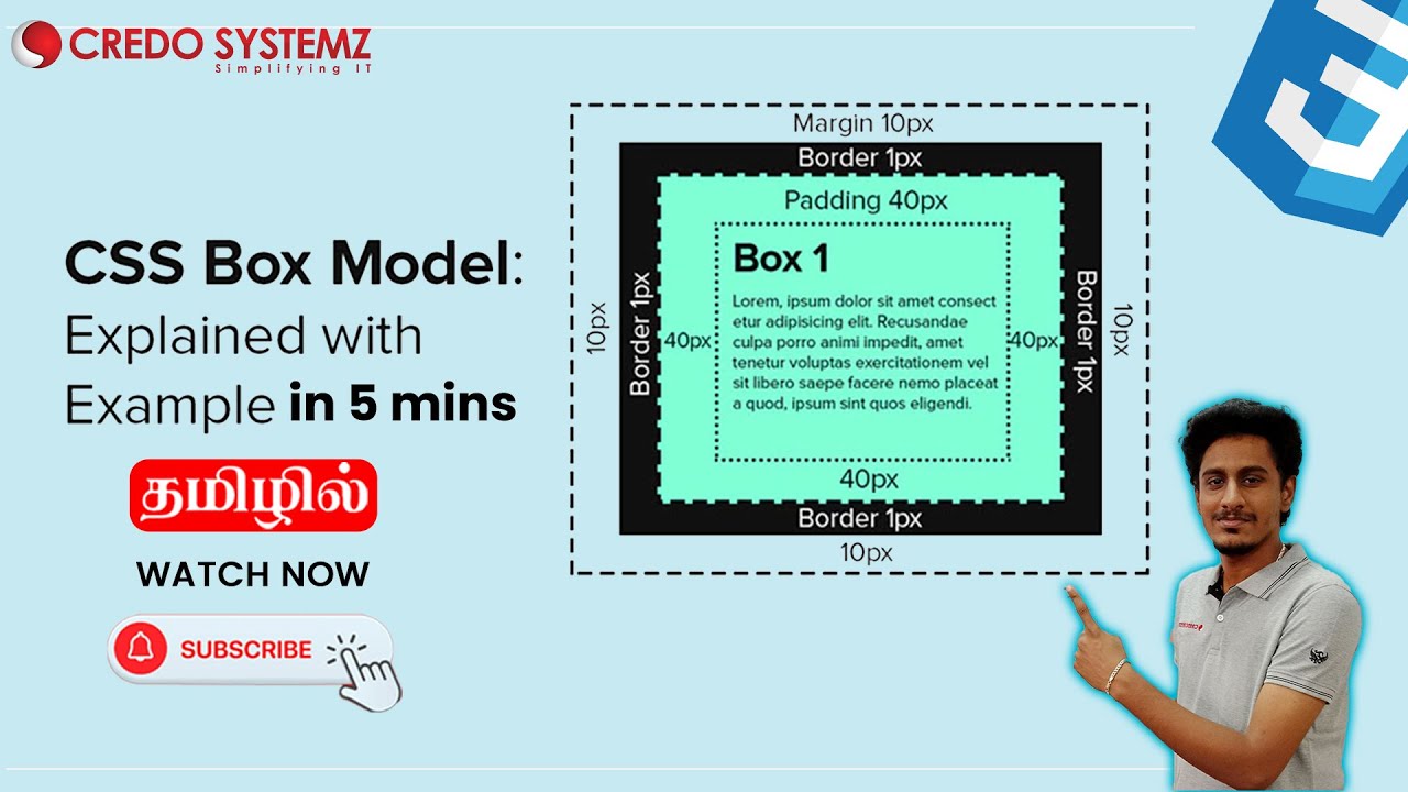 Css Box Model Explained Day 23 Tutorial For Beginners In Tamil Fresher Credosystemz