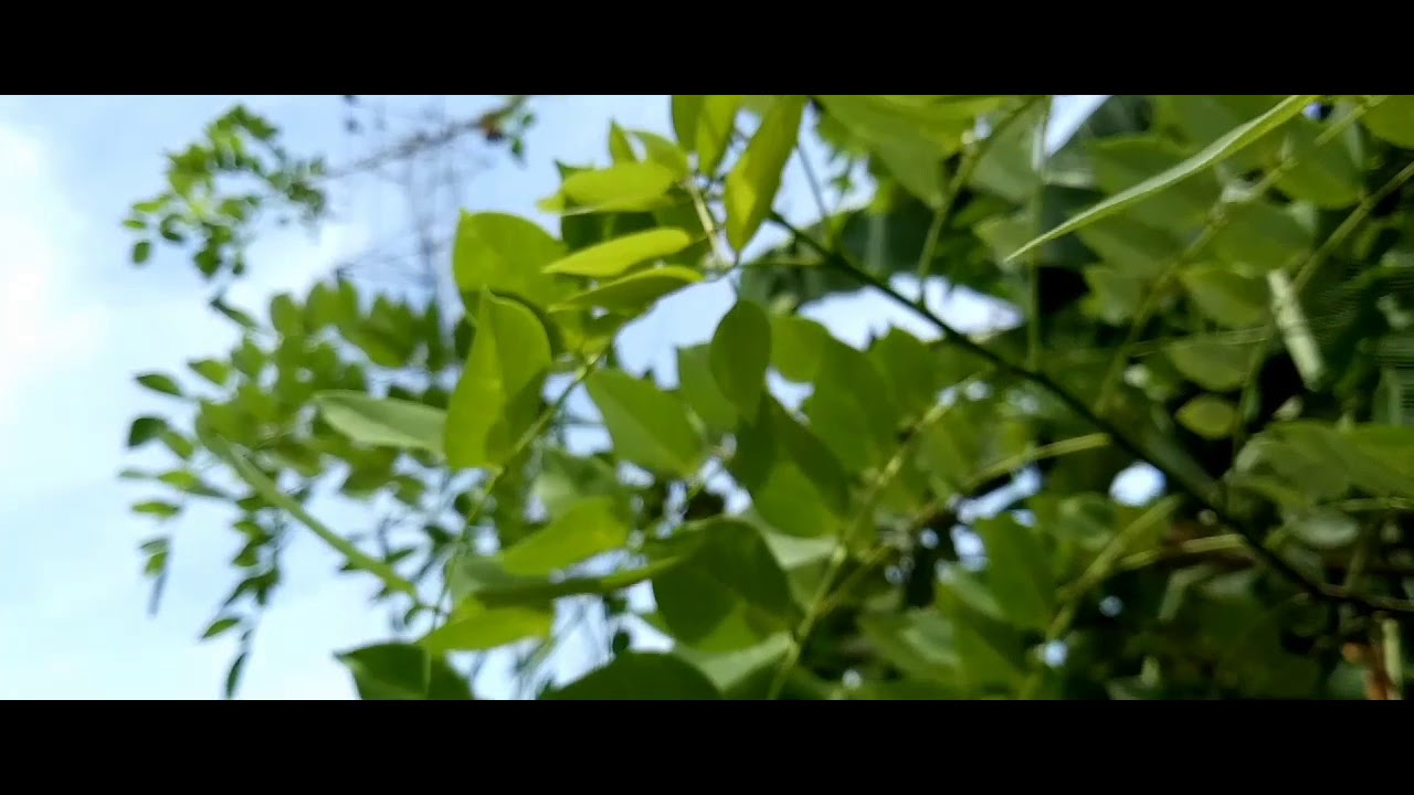 Oppo A71 Cinematic Test