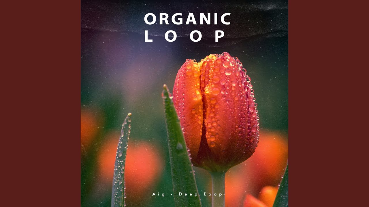 Deep Loop (Exended Mix) - YouTube