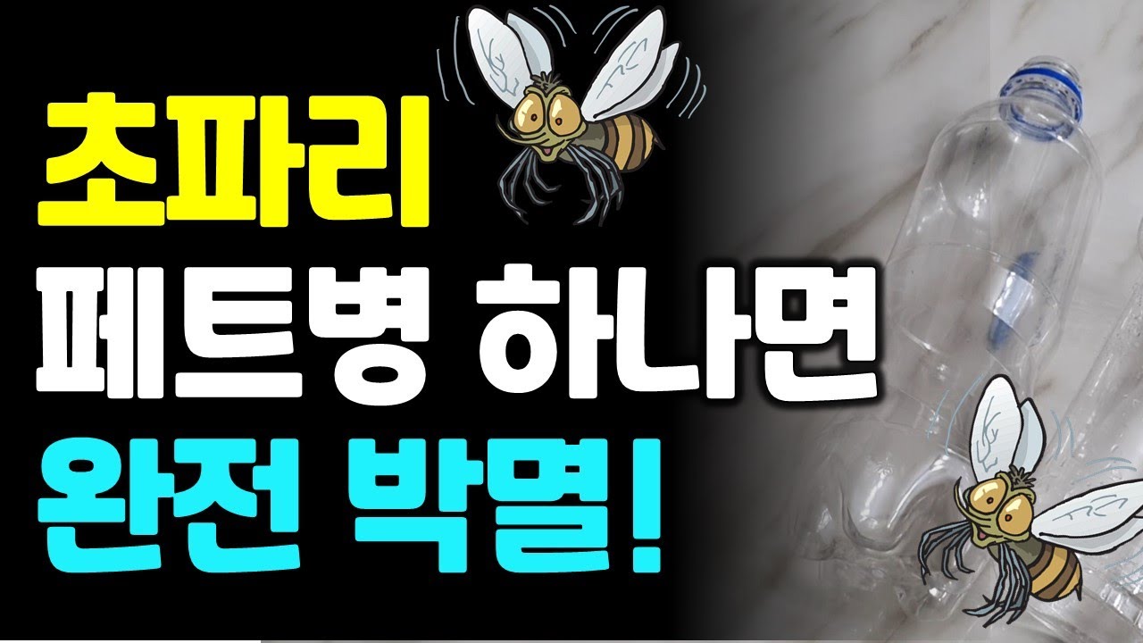 페트병 하나로 초파리 날파리 한방에 싹쓸이 했습니다 Youtube