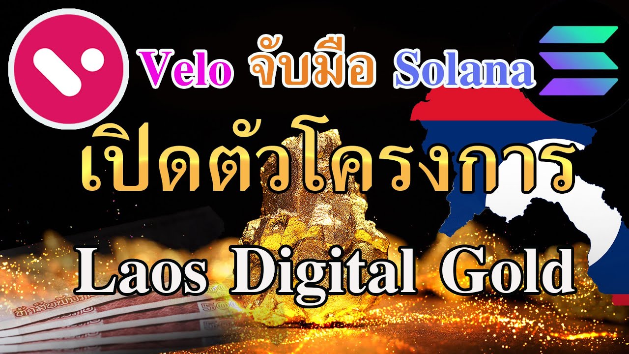 Velo จับมือ Solana เปิดตัวโครงการ Laos Digital Gold ราคาเหรียญVeloพุ่ง ...
