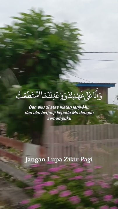Jangan Lupa Zikir Pagi #zikir #doa #video - YouTube