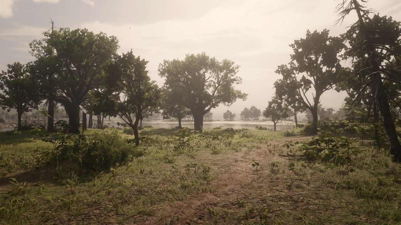 RDR 2 | Every Camp Interactions | Chapter 3 (Rare Encounters) - YouTube