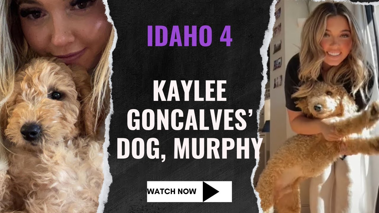 Update on Murphy, Kaylee Goncalves’ dog #idaho4 - YouTube