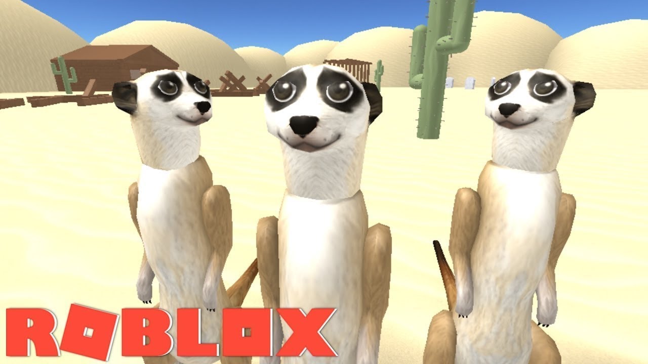 MEERKAT SIMULATOR IN ROBLOX!! - YouTube